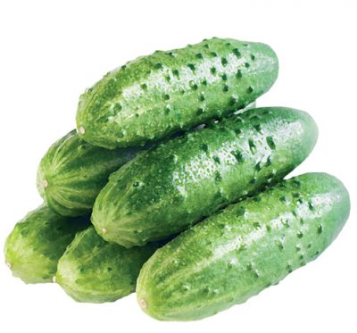 Krastavac - NS SEME - PROVERENO. PRISTUPAČNO. POUZDANO.